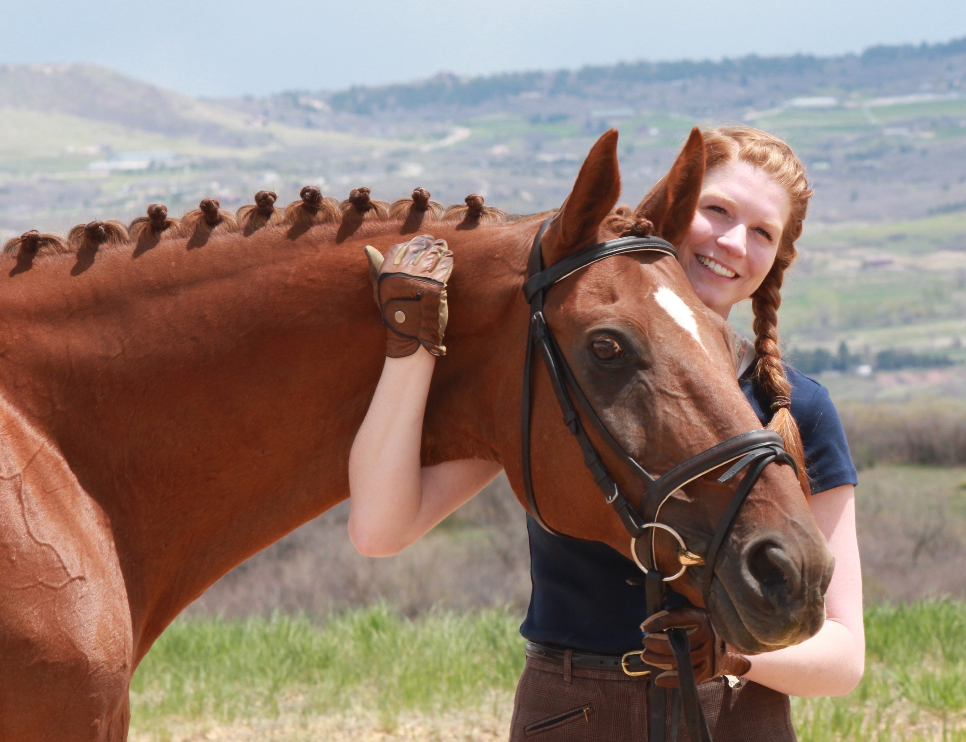 V Hart Equestrian – V Hart Equestrian